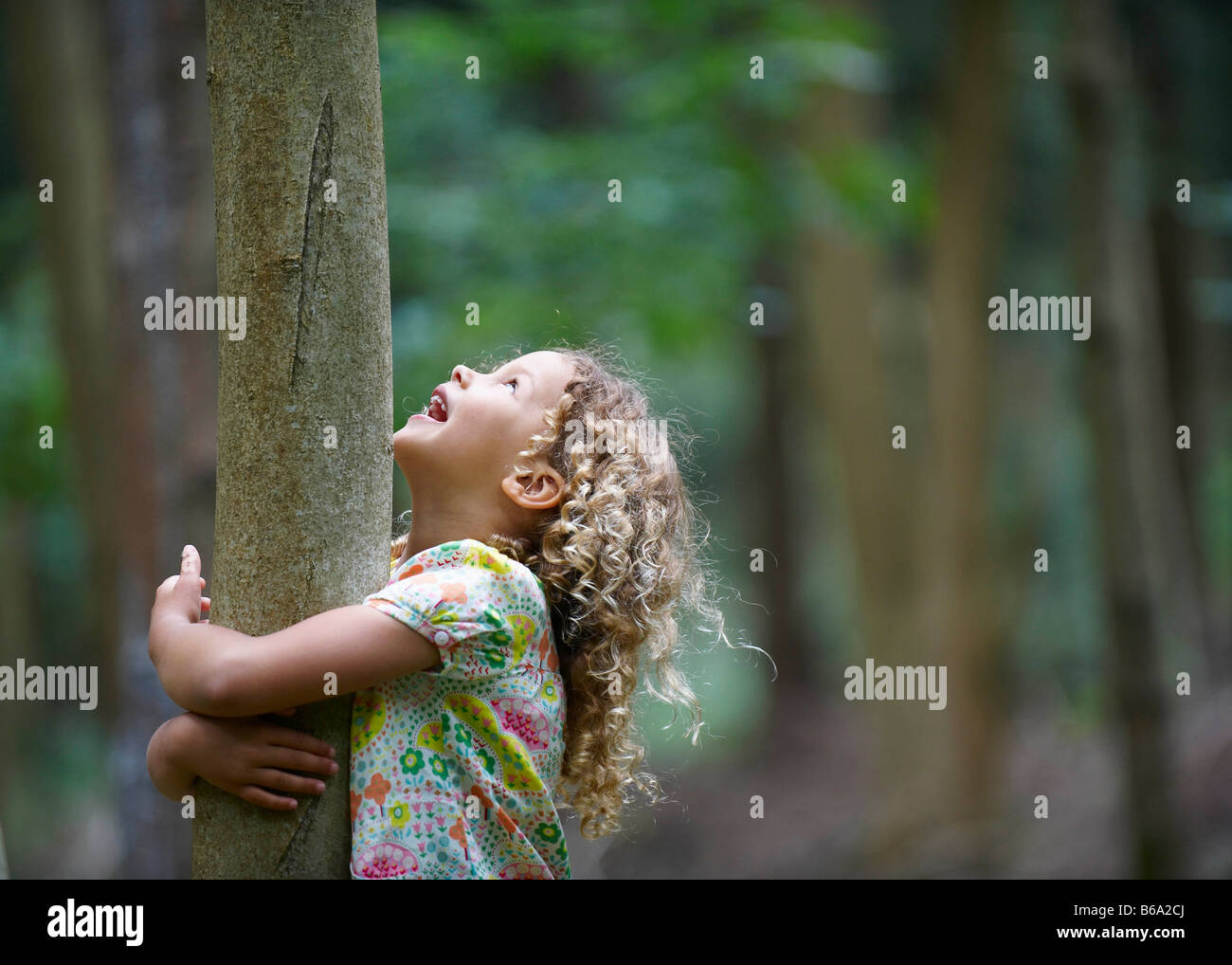Young girl hugging tree looking up Stock Photo - Alamy