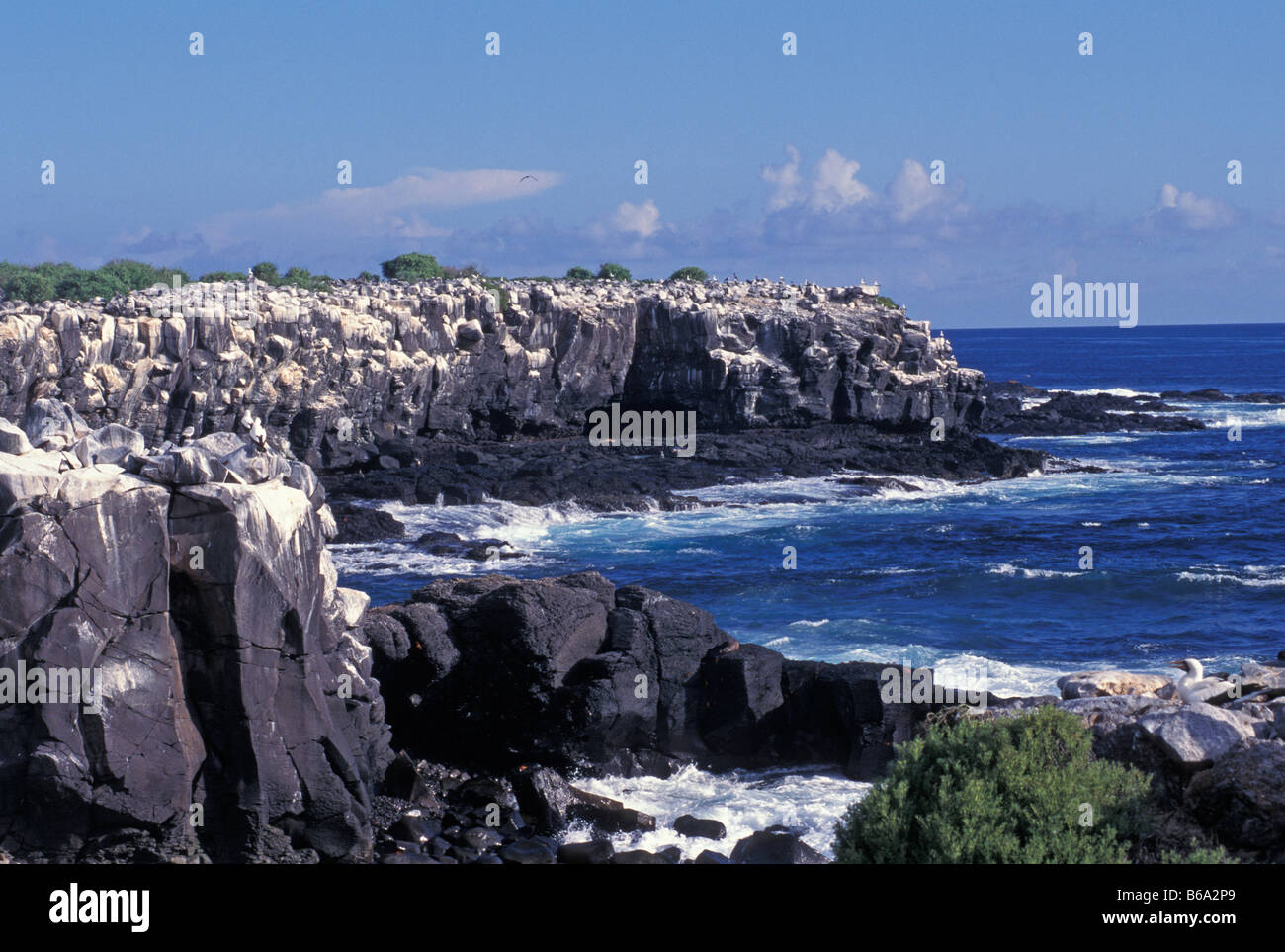 view of sea and cliffs, Punta Suarez Stock Photo - Alamy