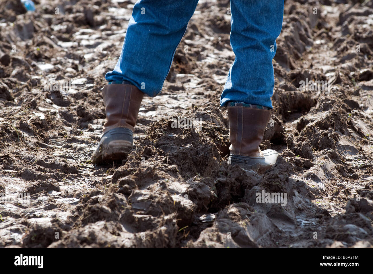 Quagmire hi-res stock photography and images - Alamy