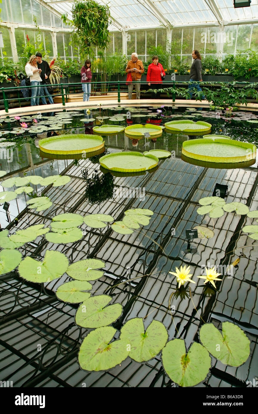 Botanical Gardens Kew England Royal Botanic Gardens, Kew London