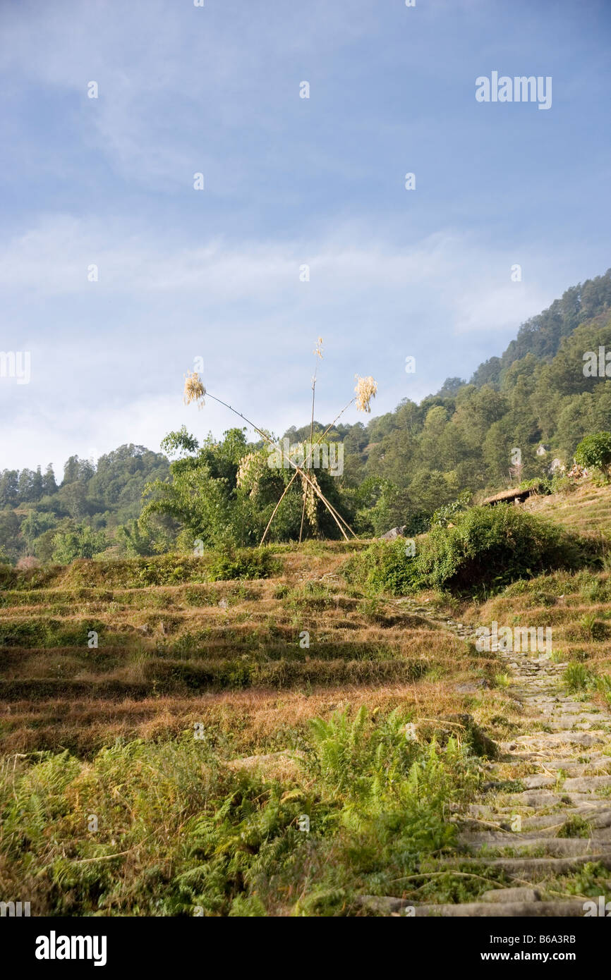 Footpath and celebration cane arch near Ghandruk in the Modi River ...
