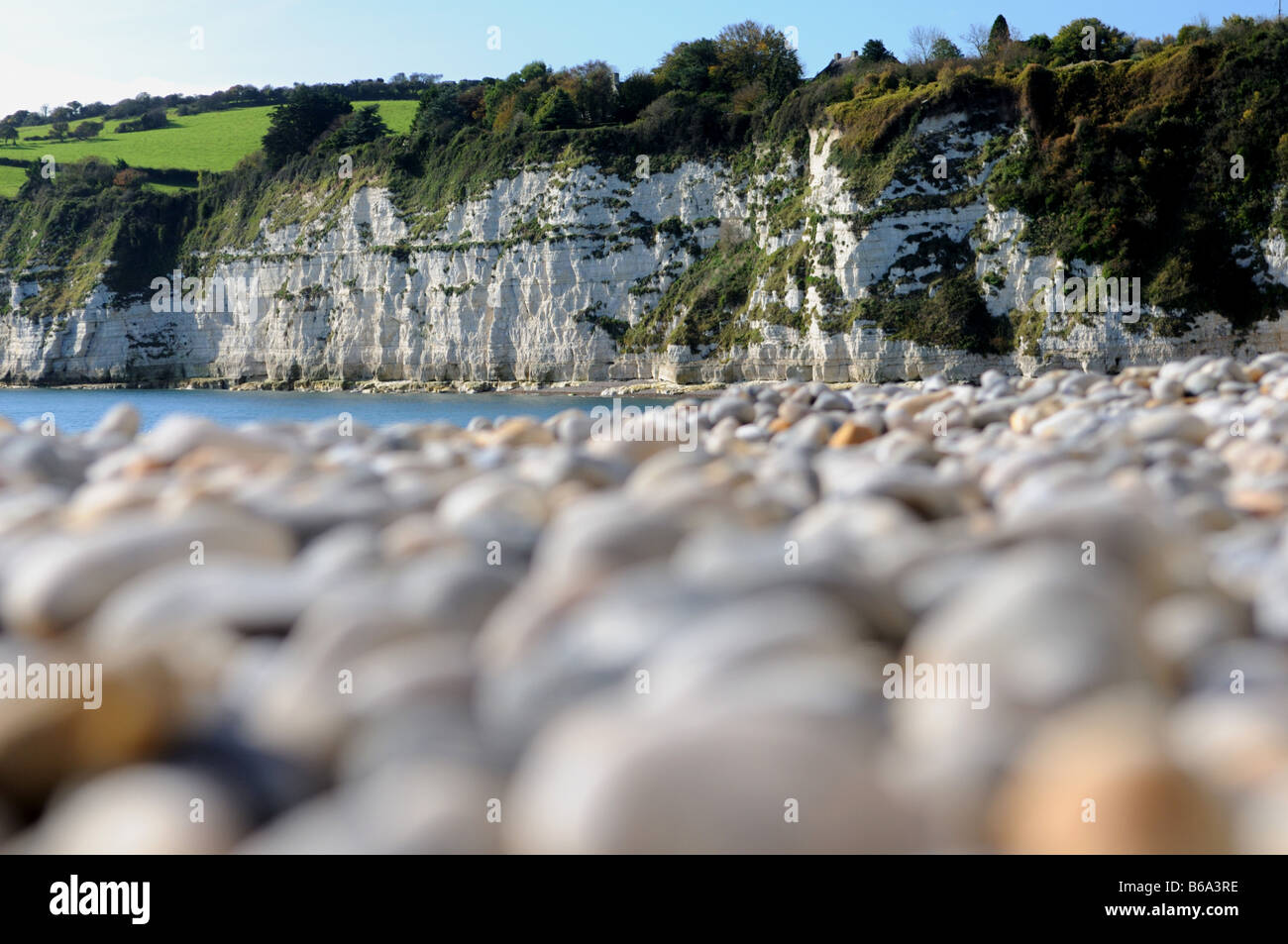White cliffs and pebbles, at Beer Devon UK Stock Photo - Alamy