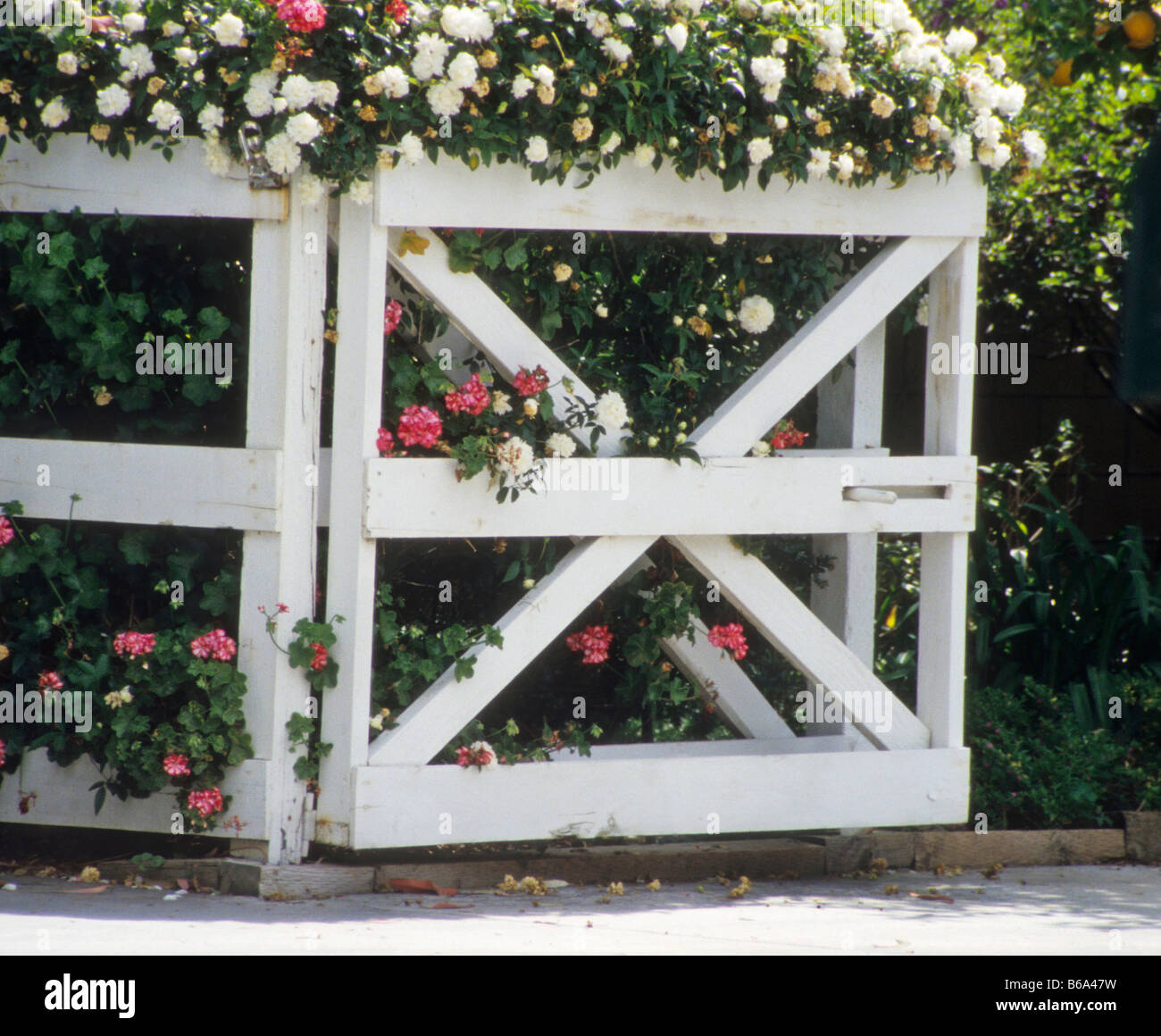 White wood gate with dual diagonal support pieces Stock Photo - Alamy
