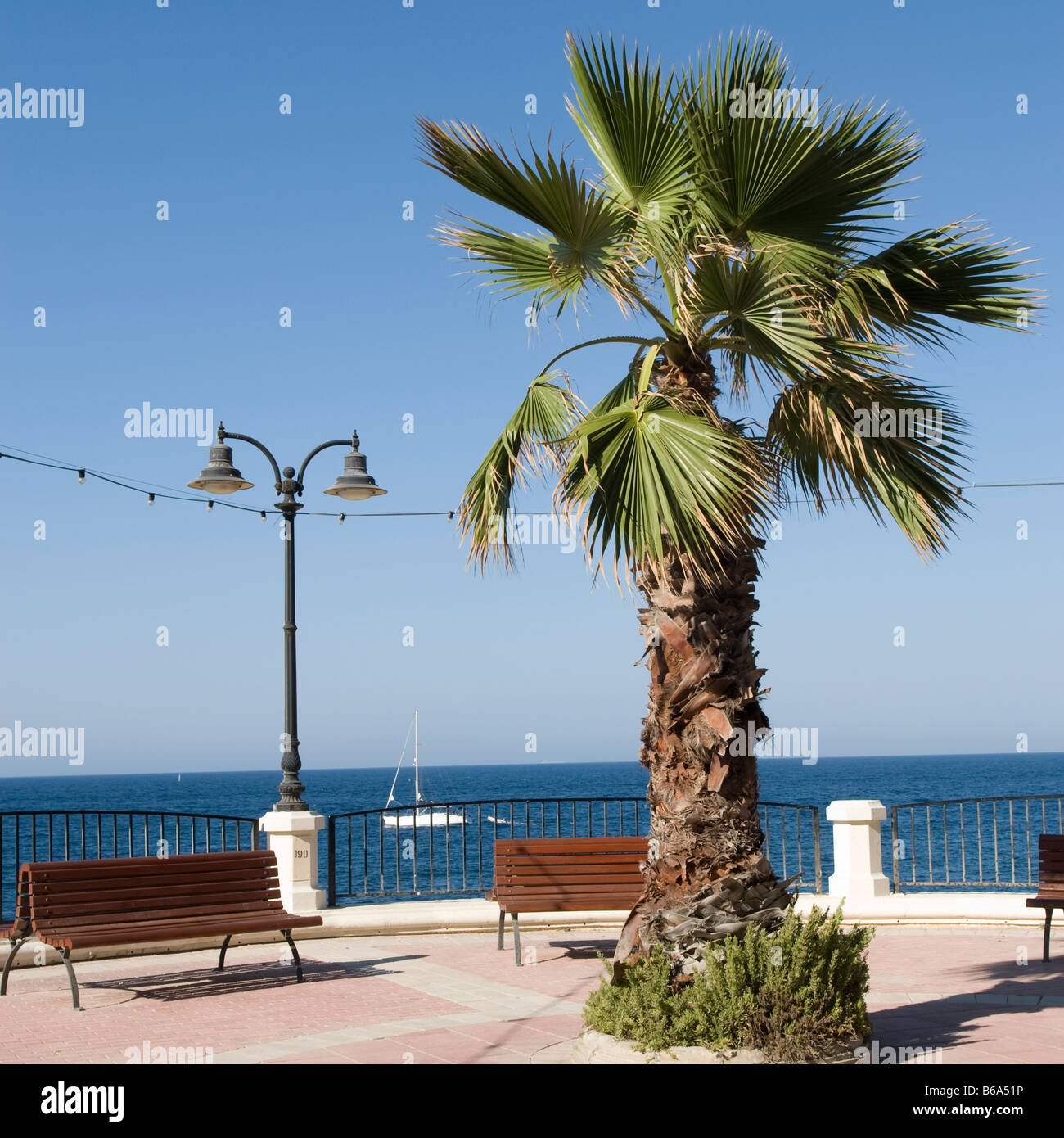 Seaview with palm tree and benches, Sliema Malta Stock Photo - Alamy