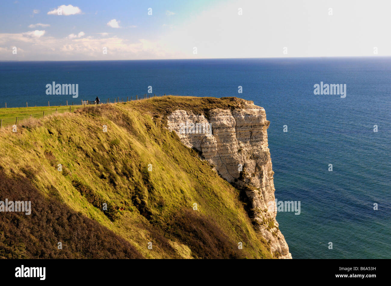 White cliffs on the Jurassic Coast at Branscombe Devon UK Stock Photo ...