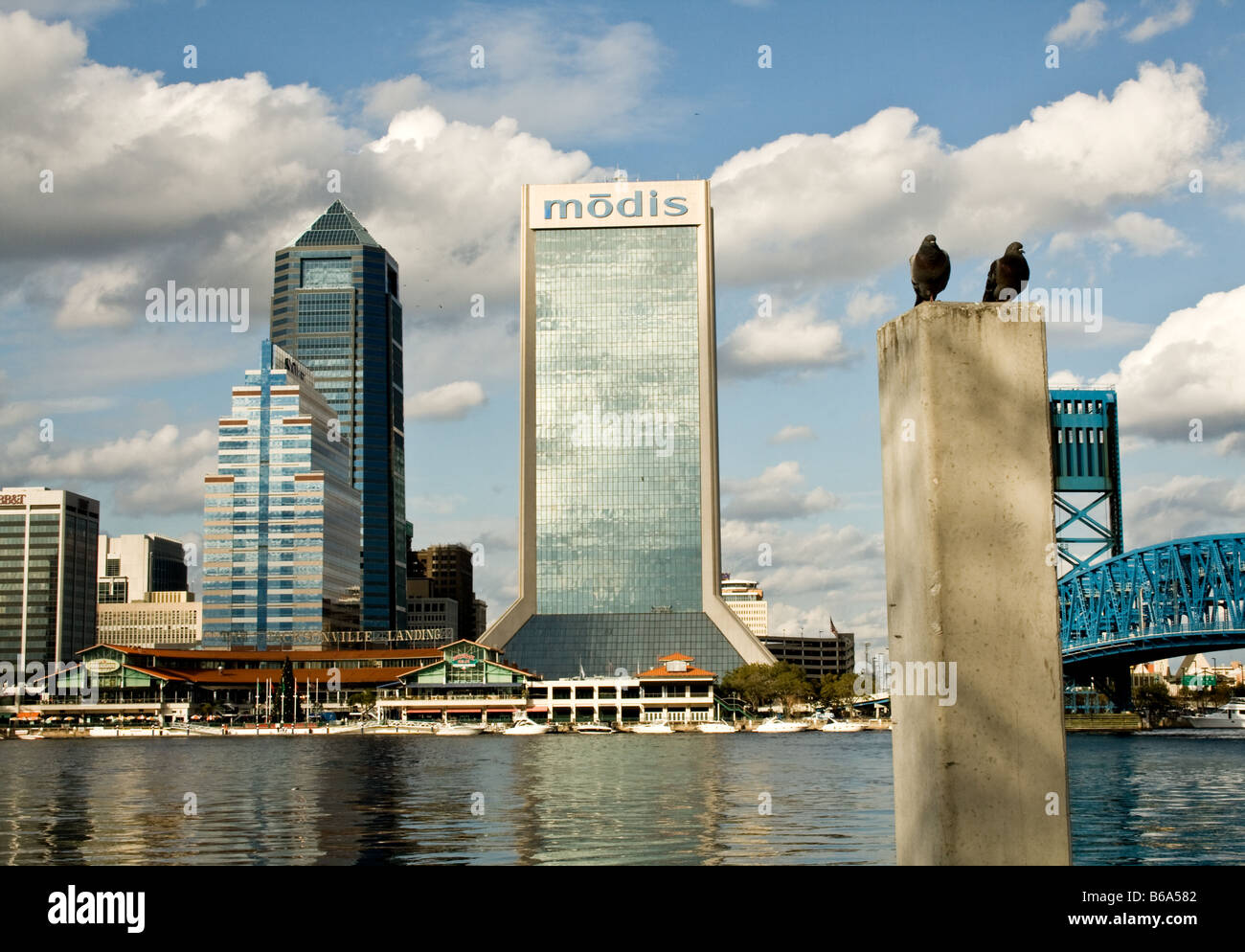 Two pidgeons standing on a cement piling by the river near the Main ...