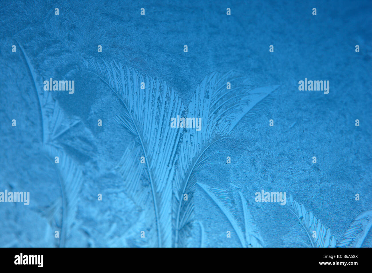 Iced patterns hi-res stock photography and images - Alamy