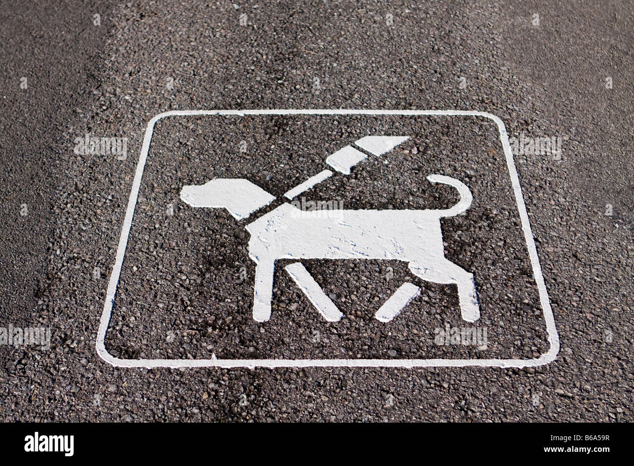 Keep on leash hi-res stock photography and images - Alamy