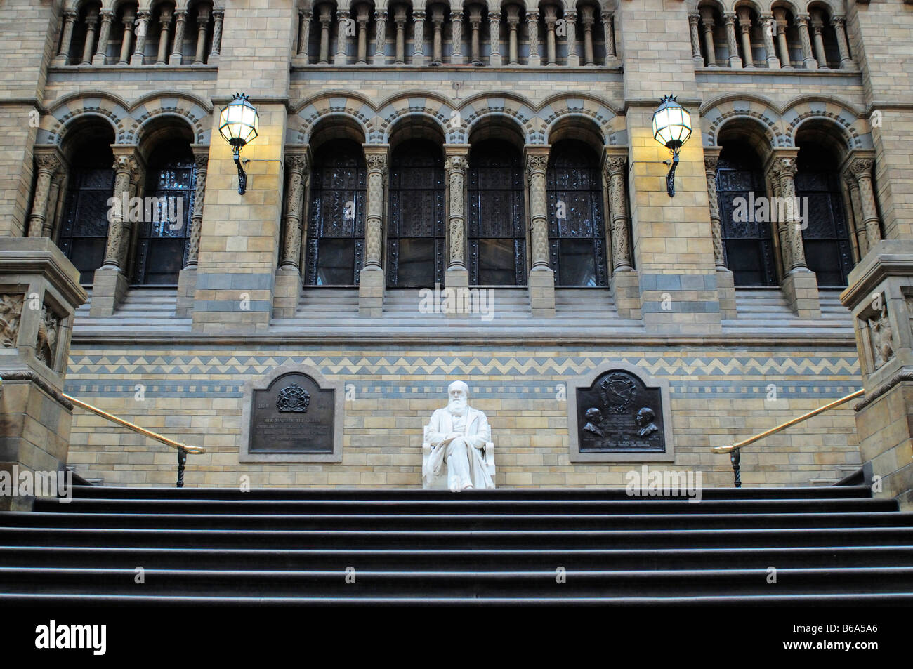 Atrium interior natural history museum hi-res stock photography and ...