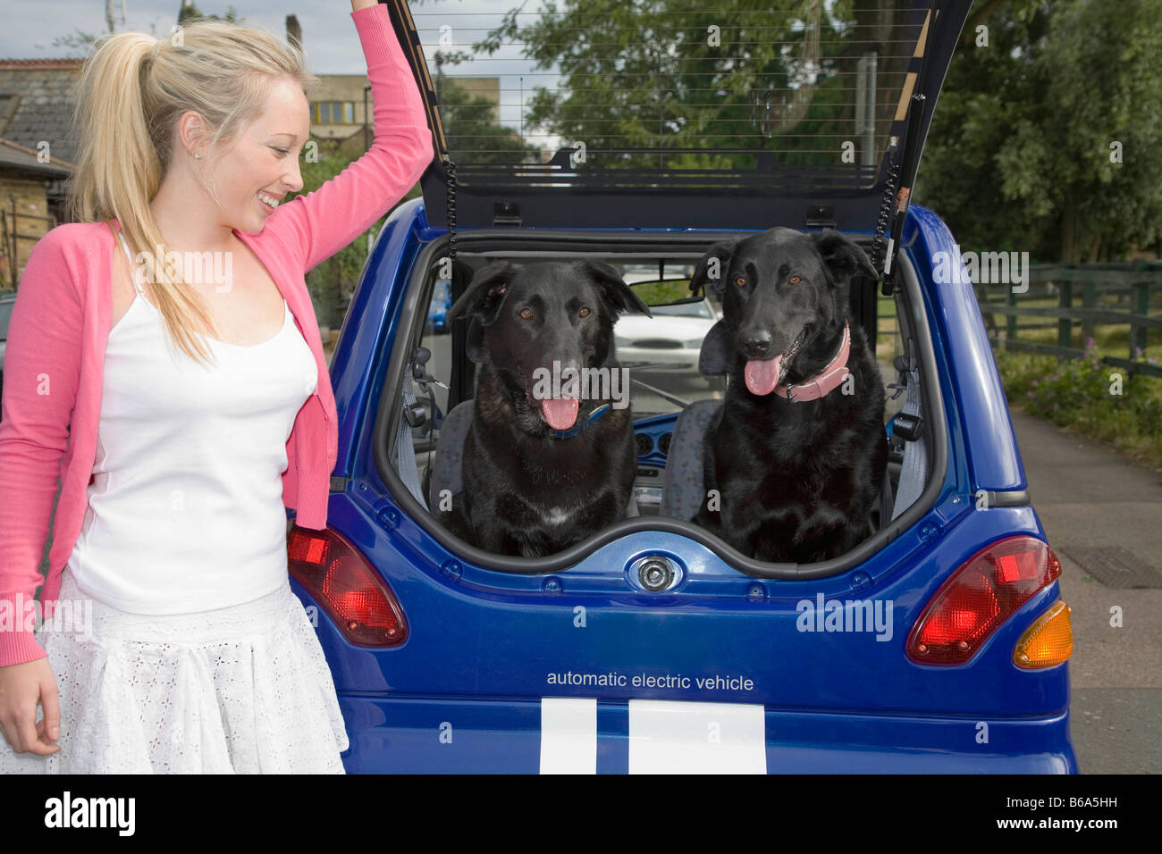 Young woman putting dogs in electric car Stock Photo - Alamy