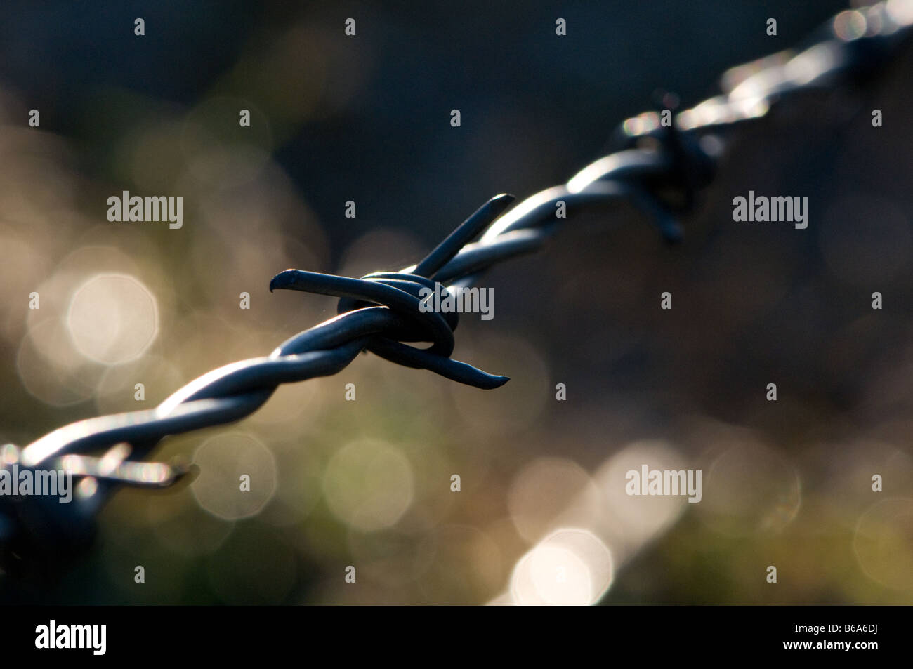 Metal barb wire hi-res stock photography and images - Alamy
