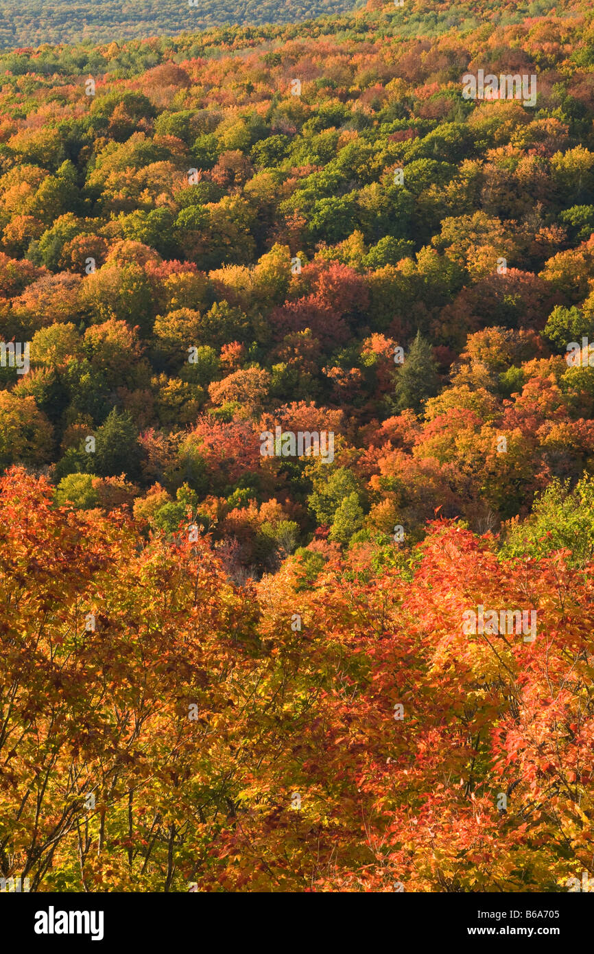 Porcupine mountains lake superior hi-res stock photography and images ...