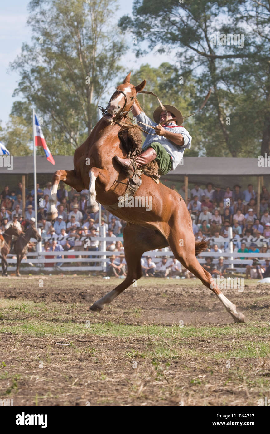 rodeo horse Uruguay fiesta gaucho cow-boy cowboy Stock Photo - Alamy
