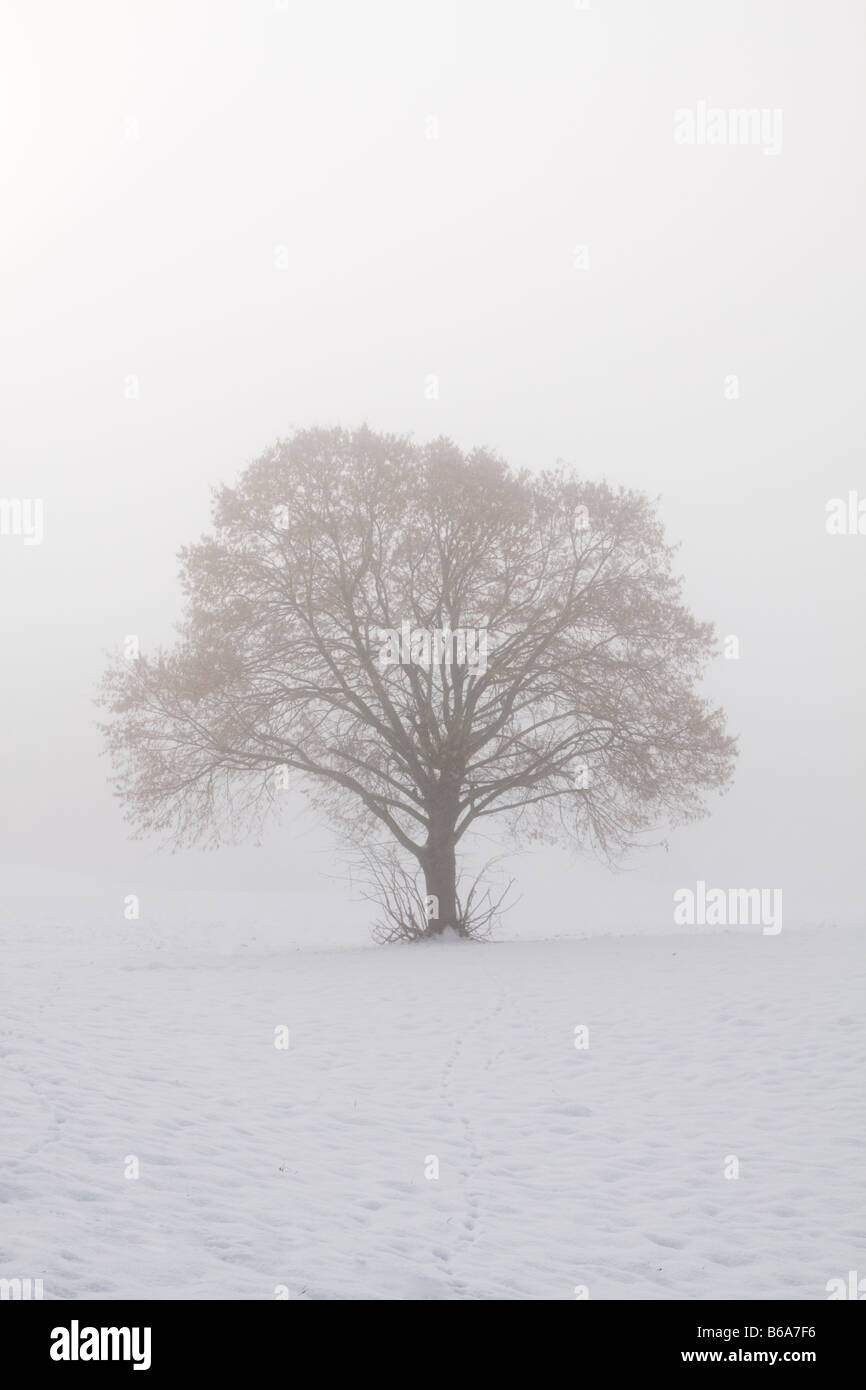 Landscape mist snow hi-res stock photography and images - Alamy