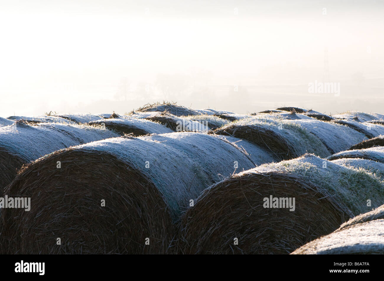 Bales of hay for animals hi-res stock photography and images - Alamy