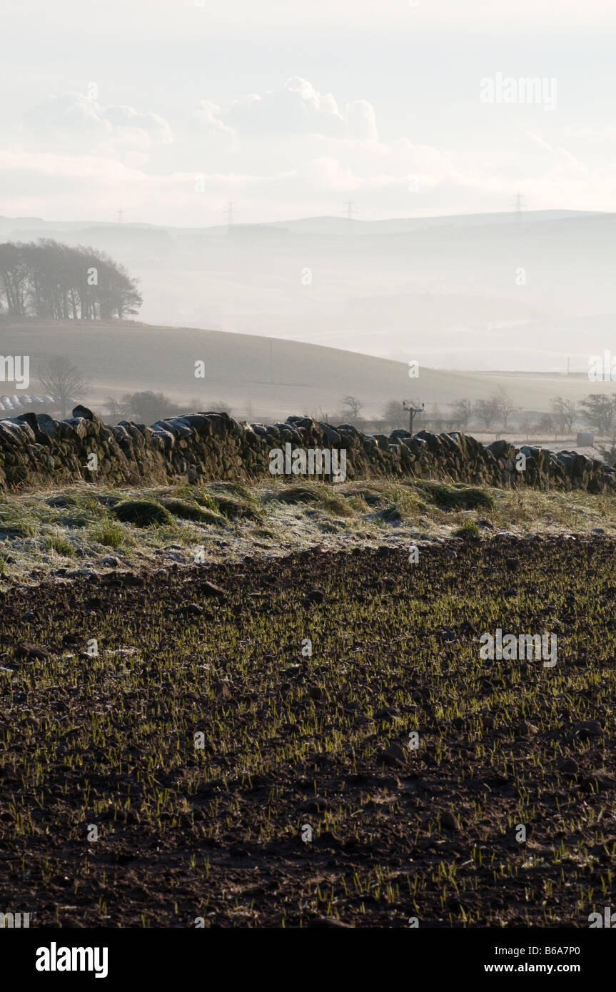 Cheviot hills winter hi-res stock photography and images - Alamy