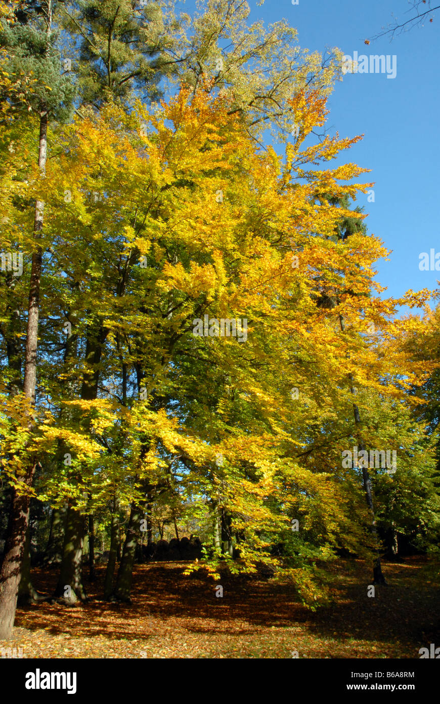 Worcestershire redditch hi-res stock photography and images - Alamy
