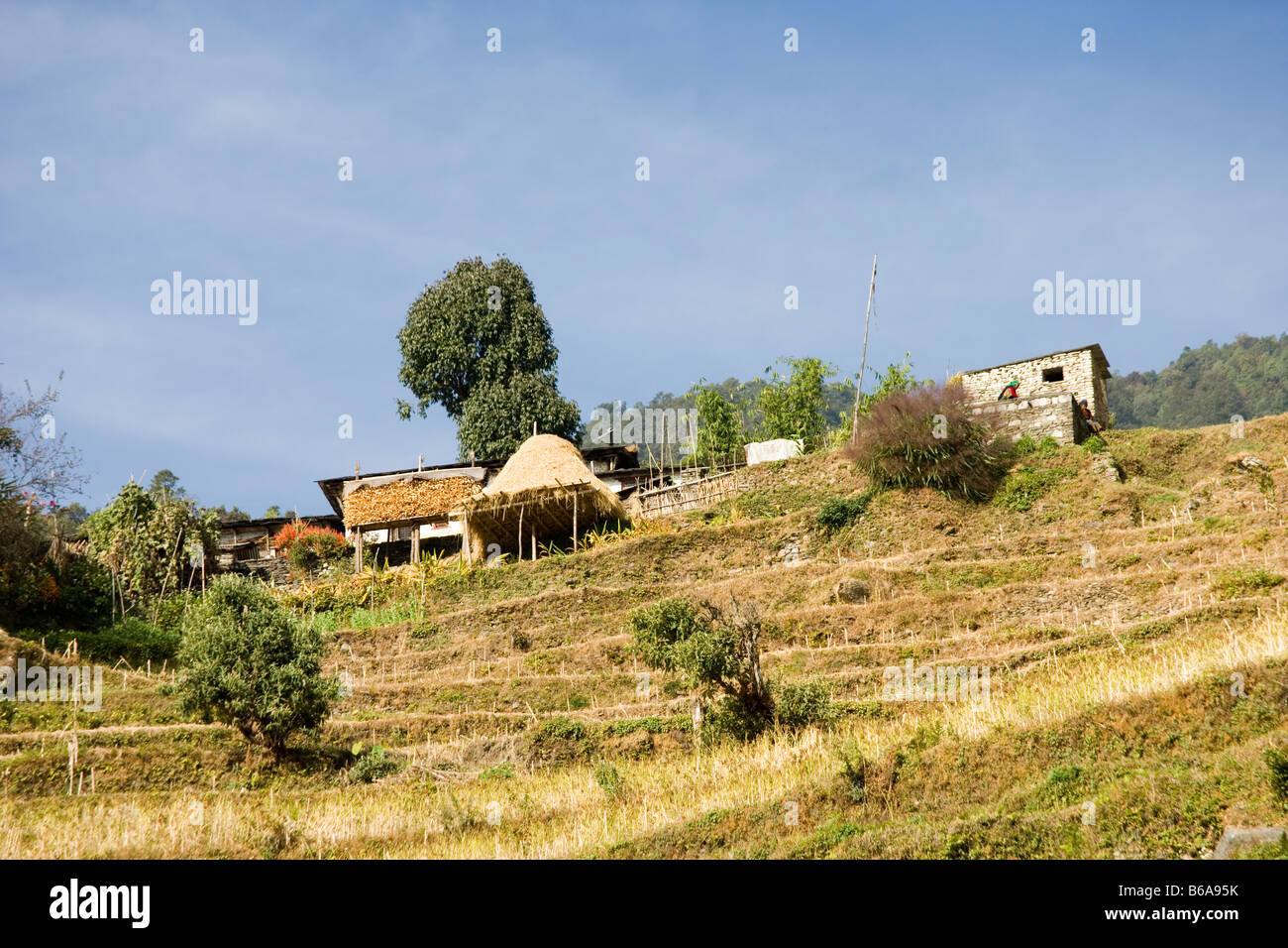 Kimche hi-res stock photography and images - Alamy