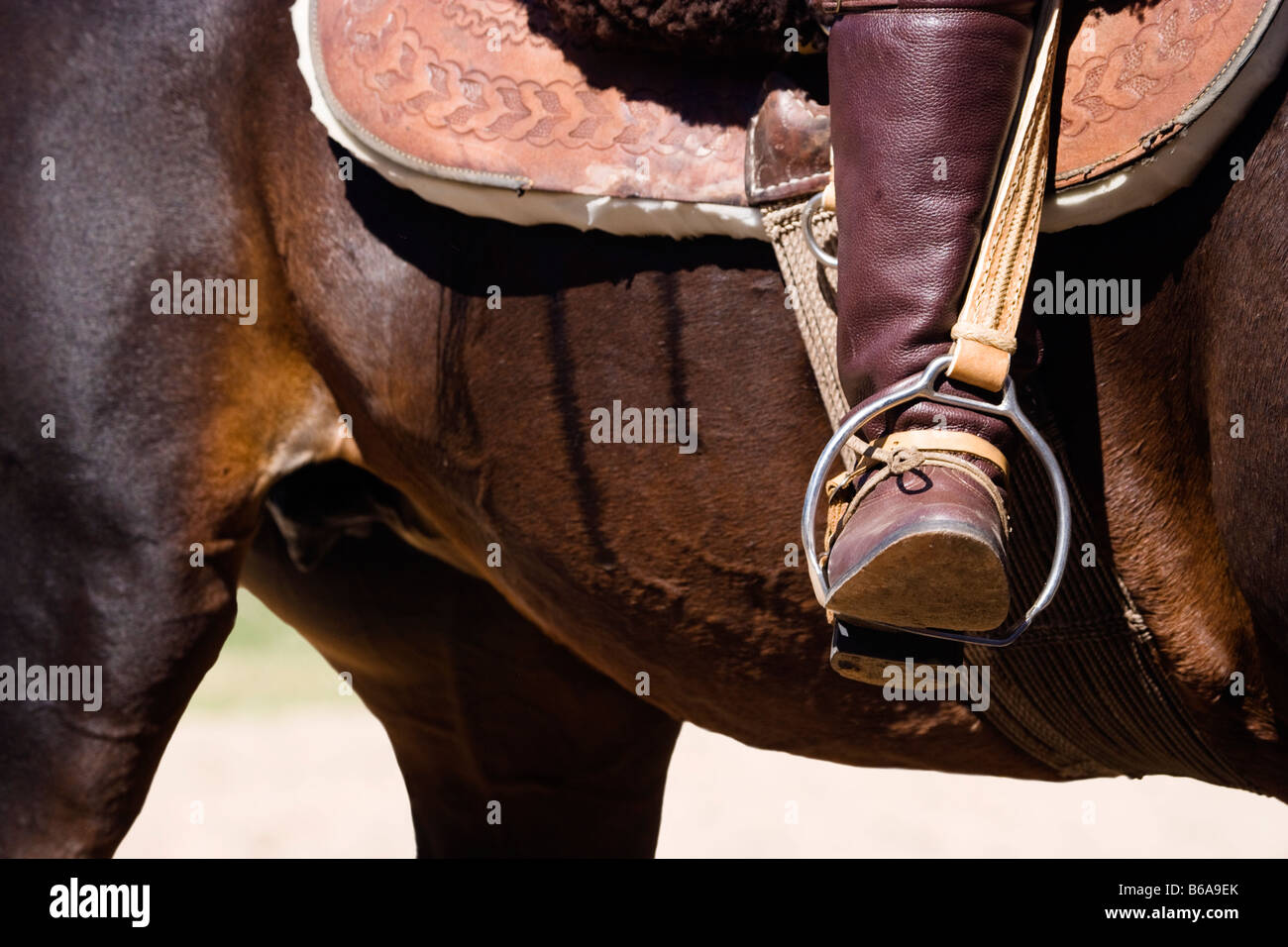 Gaucho cowboy hi-res stock photography and images - Alamy