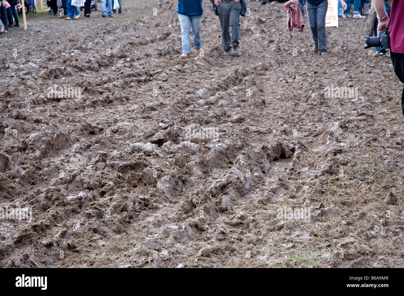 Quagmire hi-res stock photography and images - Alamy