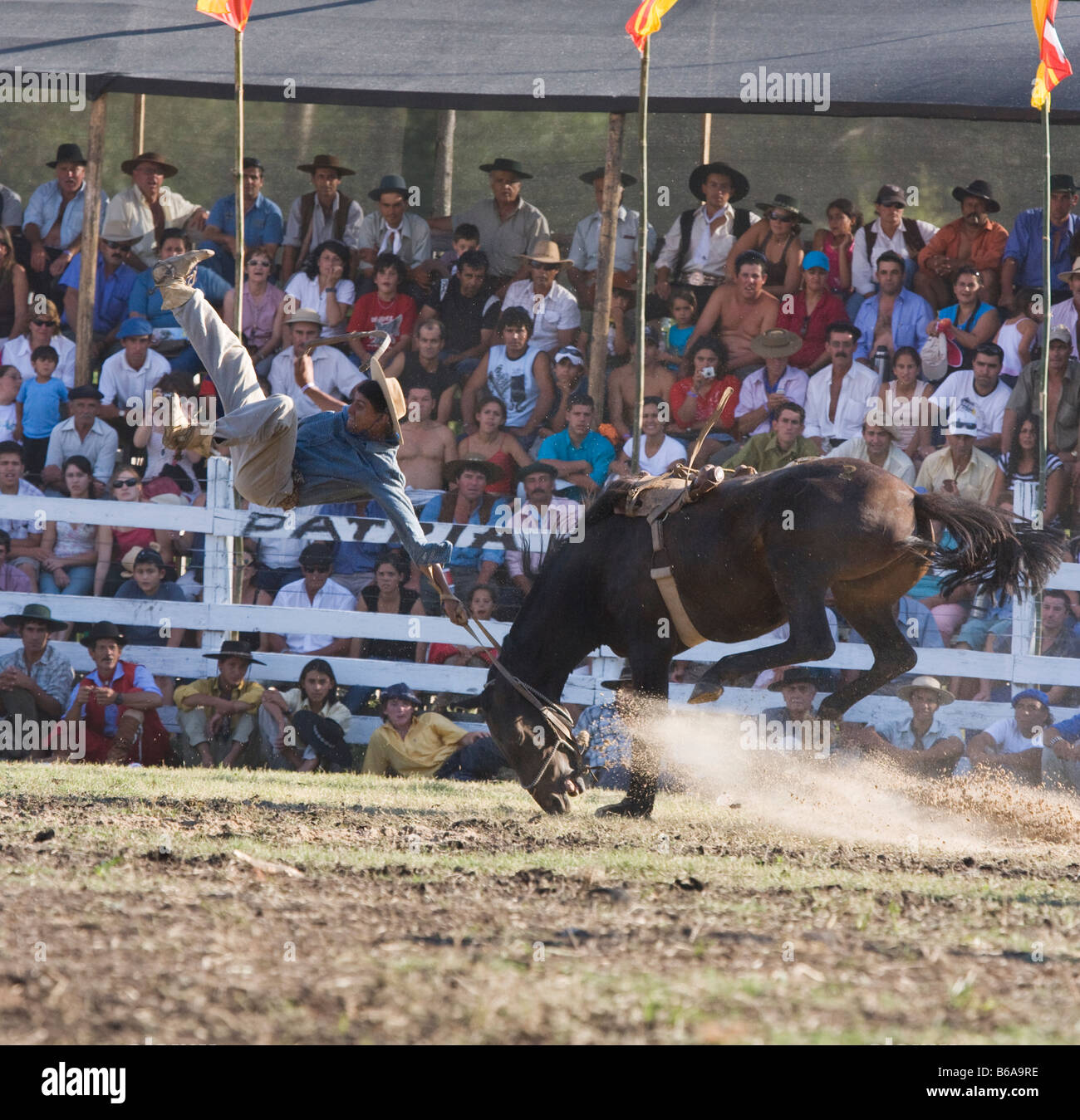 rodeo horse Uruguay fiesta gaucho cow-boy cowboy Stock Photo - Alamy