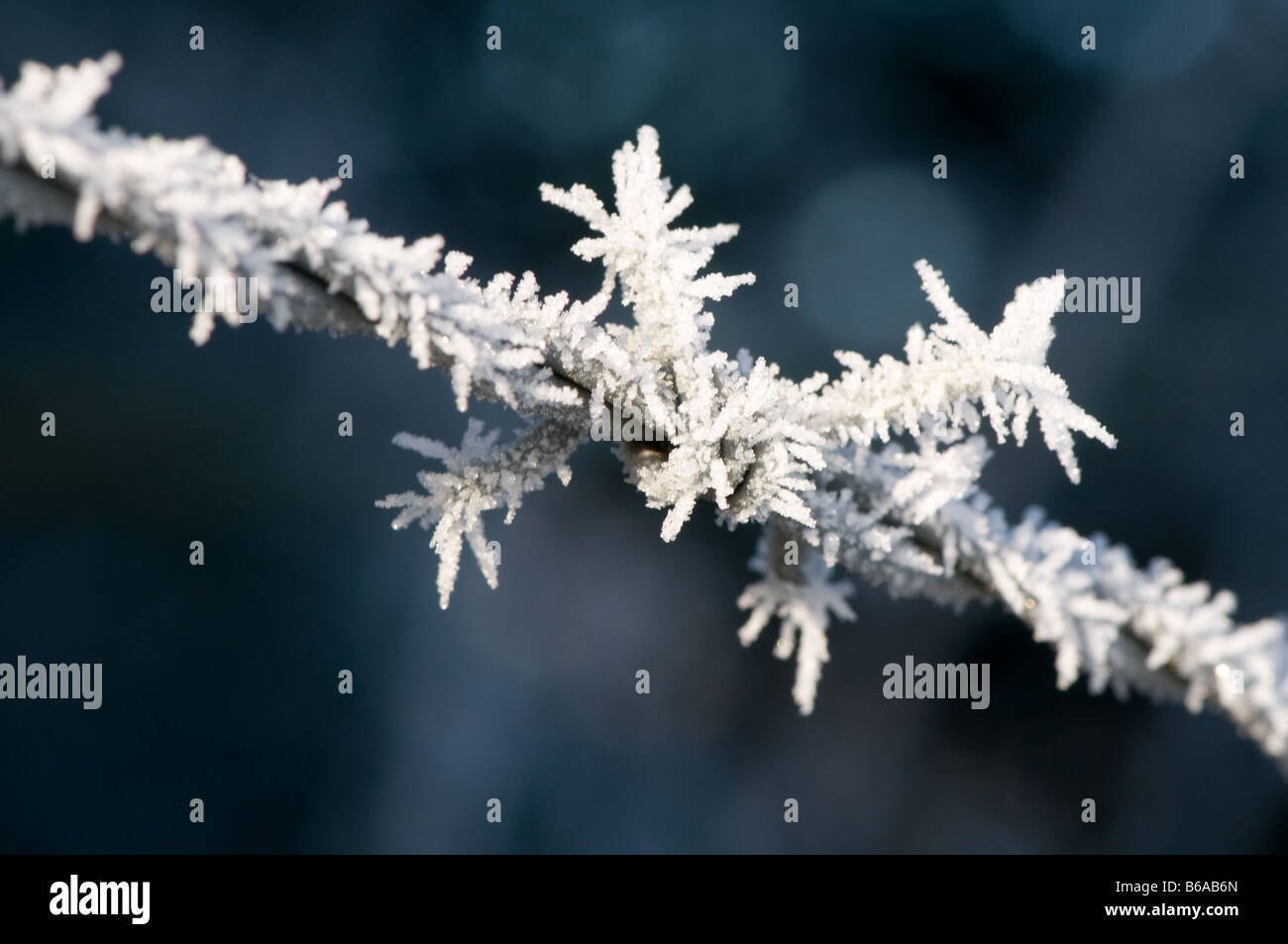 Frozen Barb Wire Stock Photo - Alamy