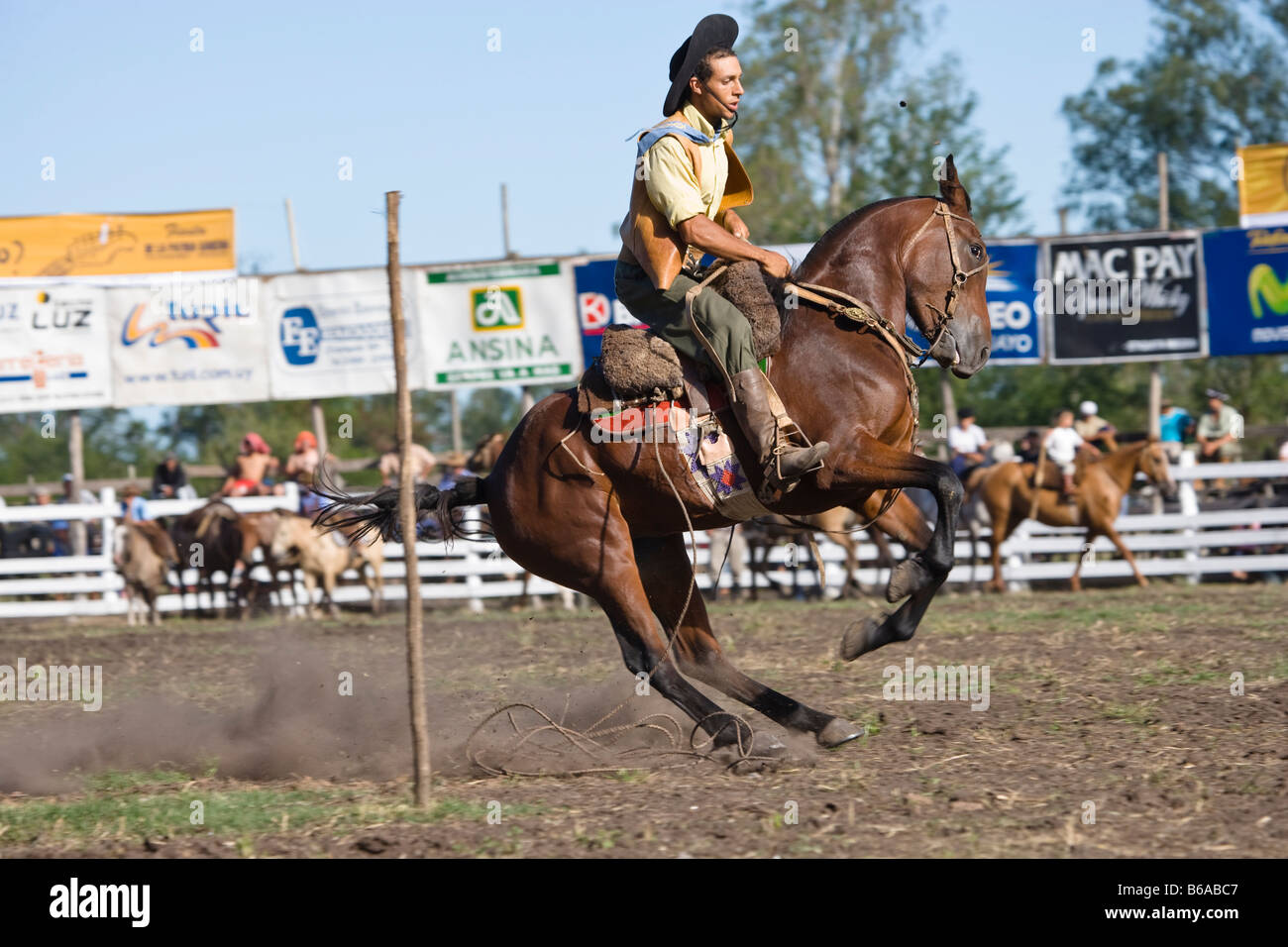 rodeo horse Uruguay fiesta gaucho cow-boy cowboy Stock Photo - Alamy