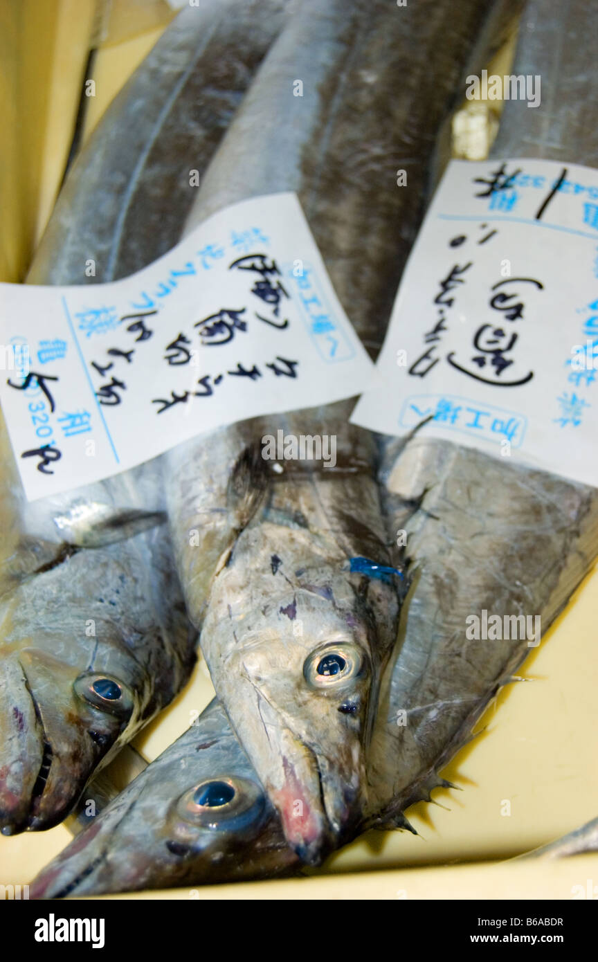 Tsukiji shijo fish market Tokyo Japan seafood Stock Photo - Alamy