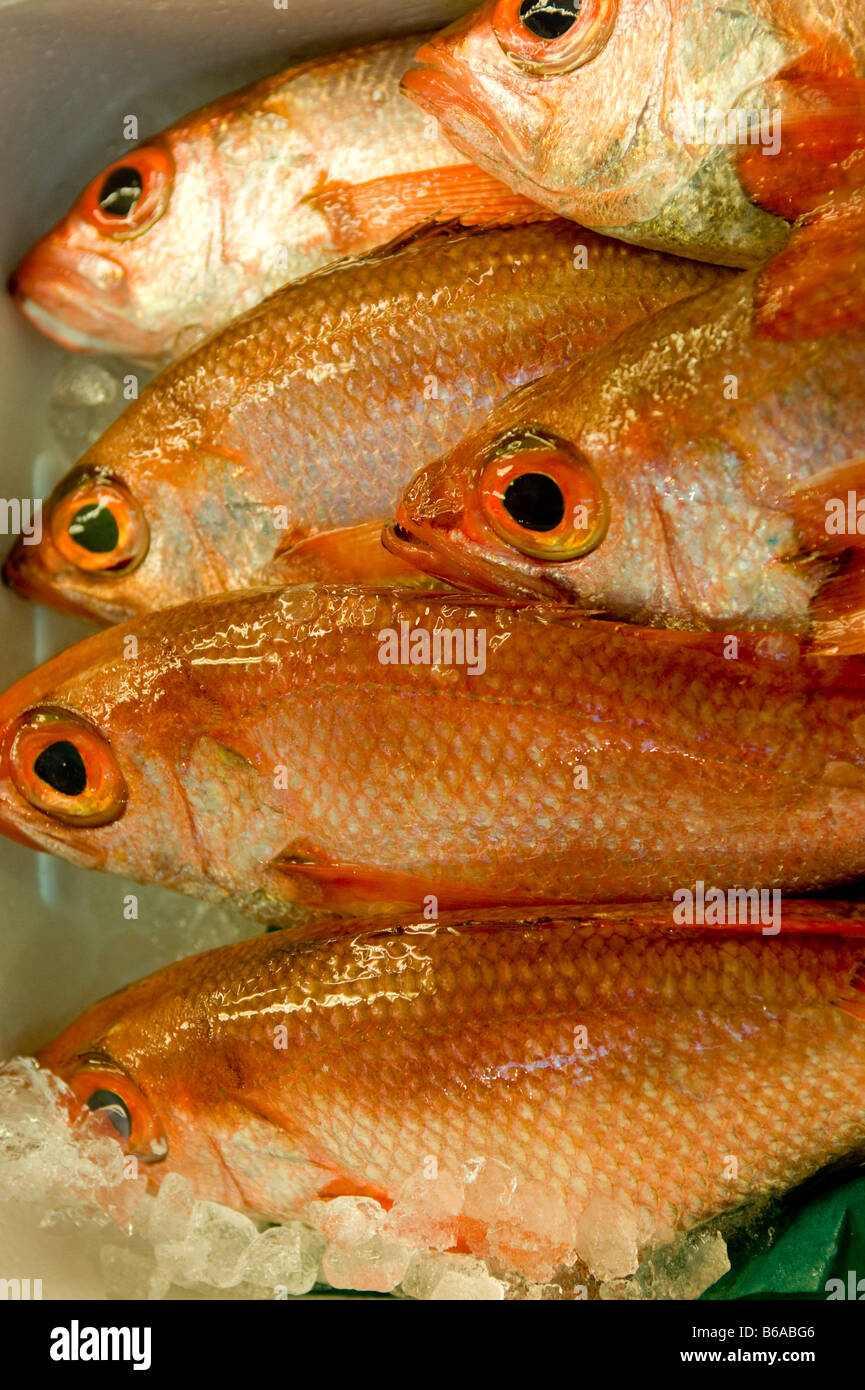 Red snapper fish in an ice box at The Tsukiji Fish Market in Tokyo ...