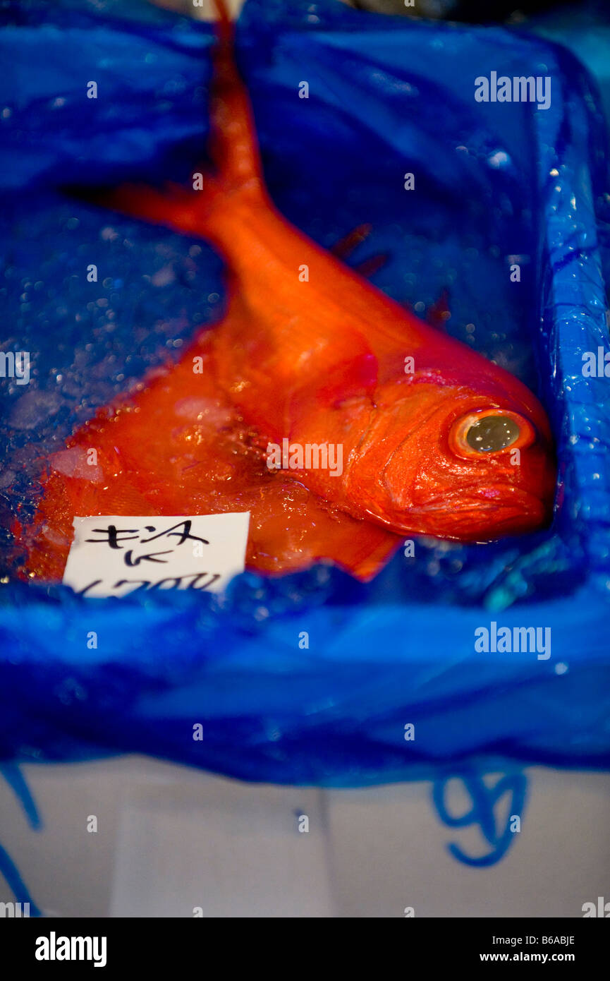Red snapper fish in an ice box at The Tsukiji Fish Market in Tokyo ...