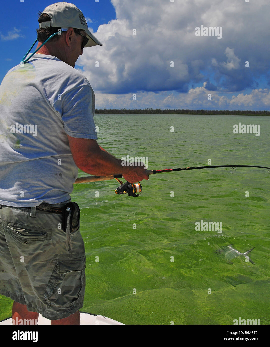 The bonefish is the quarry of this angler in the shallow flats of ...