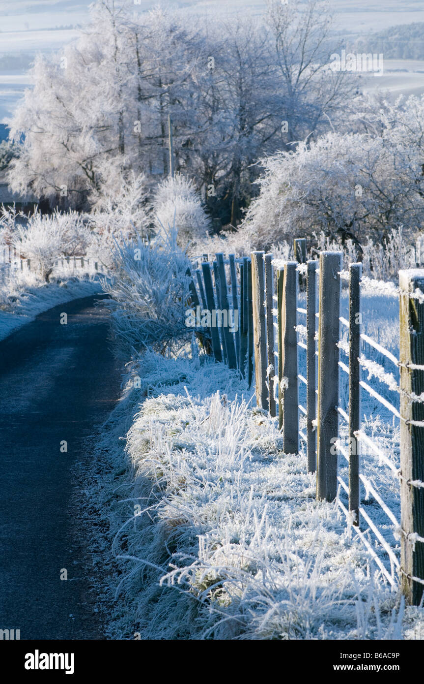 Frost fence hi-res stock photography and images - Alamy