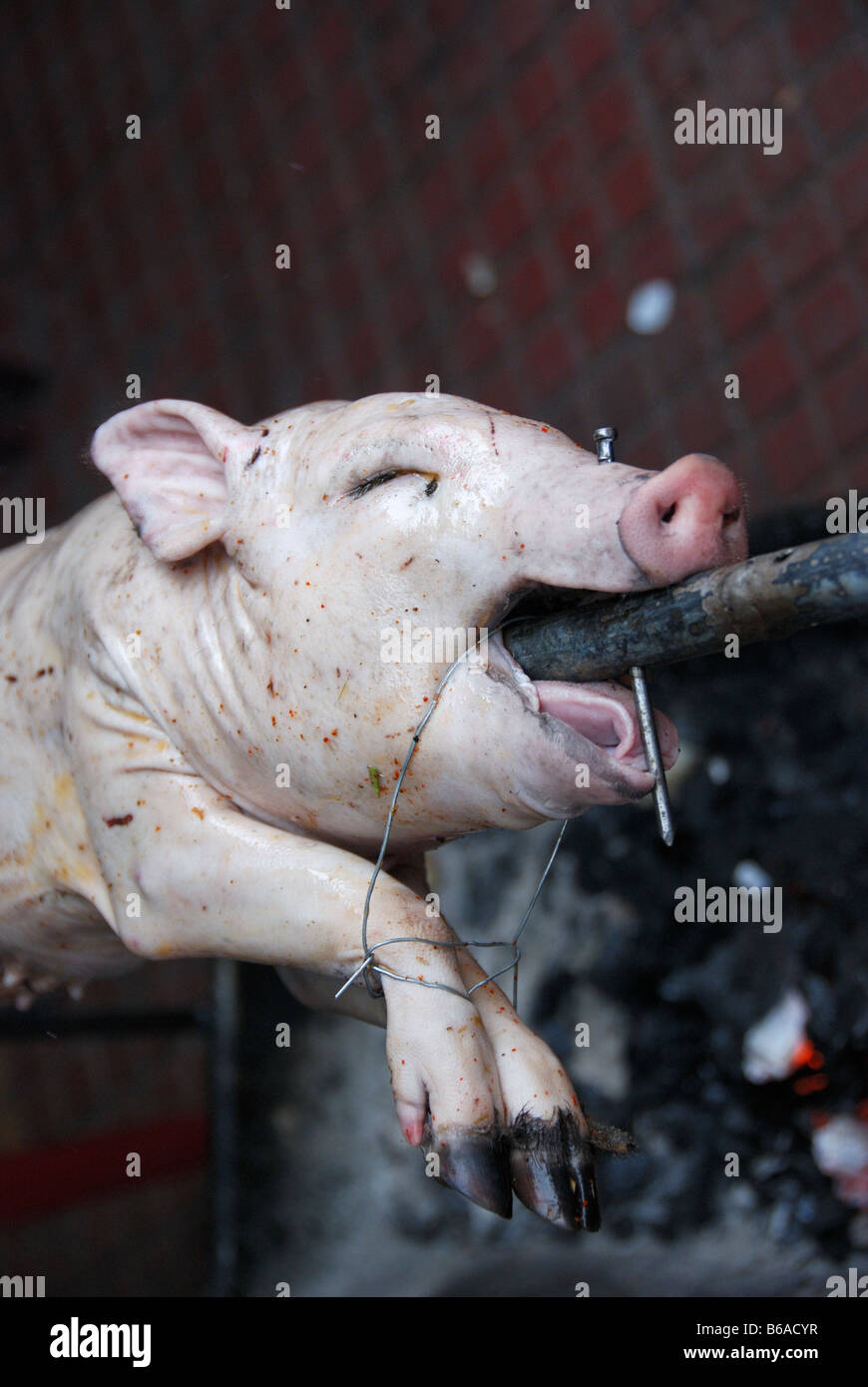Suckling pig on spit with nail through its nose Stock Photo - Alamy