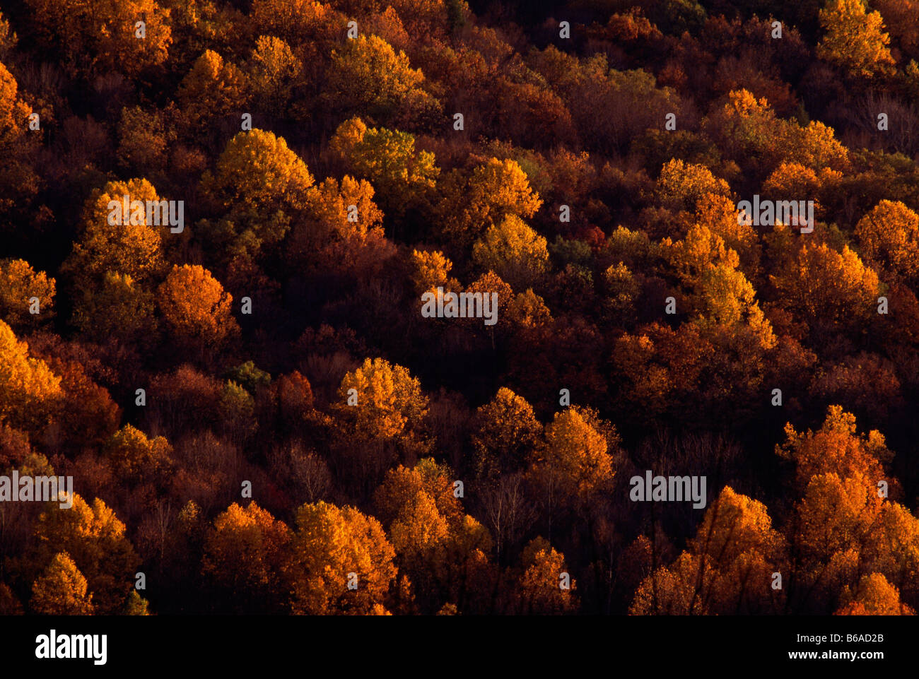 FALL COLORS ON KITTATINNY MOUNTAIN VIEWED SOUTH FROM RT 611 NEAR ...