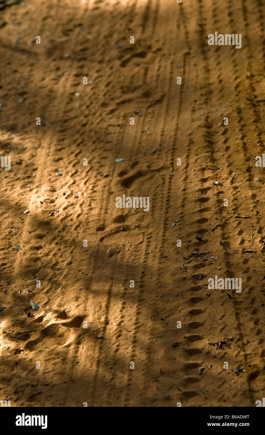 Park marks hi-res stock photography and images - Alamy