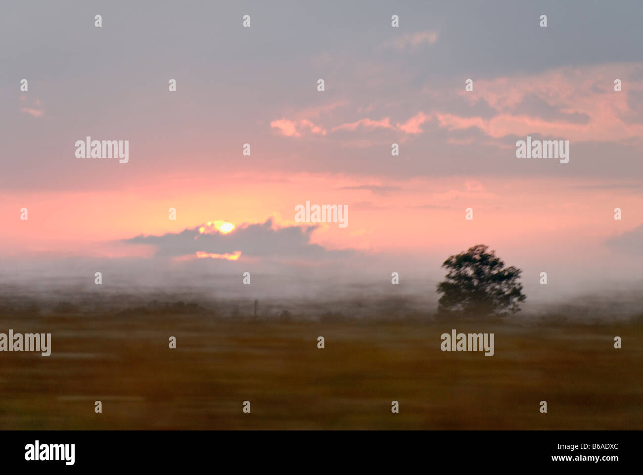 Indiana central hi-res stock photography and images - Alamy