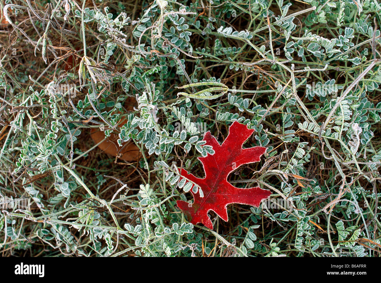 Tidioute High Resolution Stock Photography and Images - Alamy