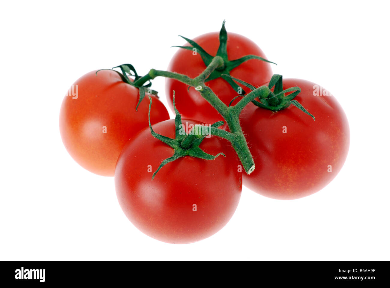 Vine tomatoes hi-res stock photography and images - Alamy