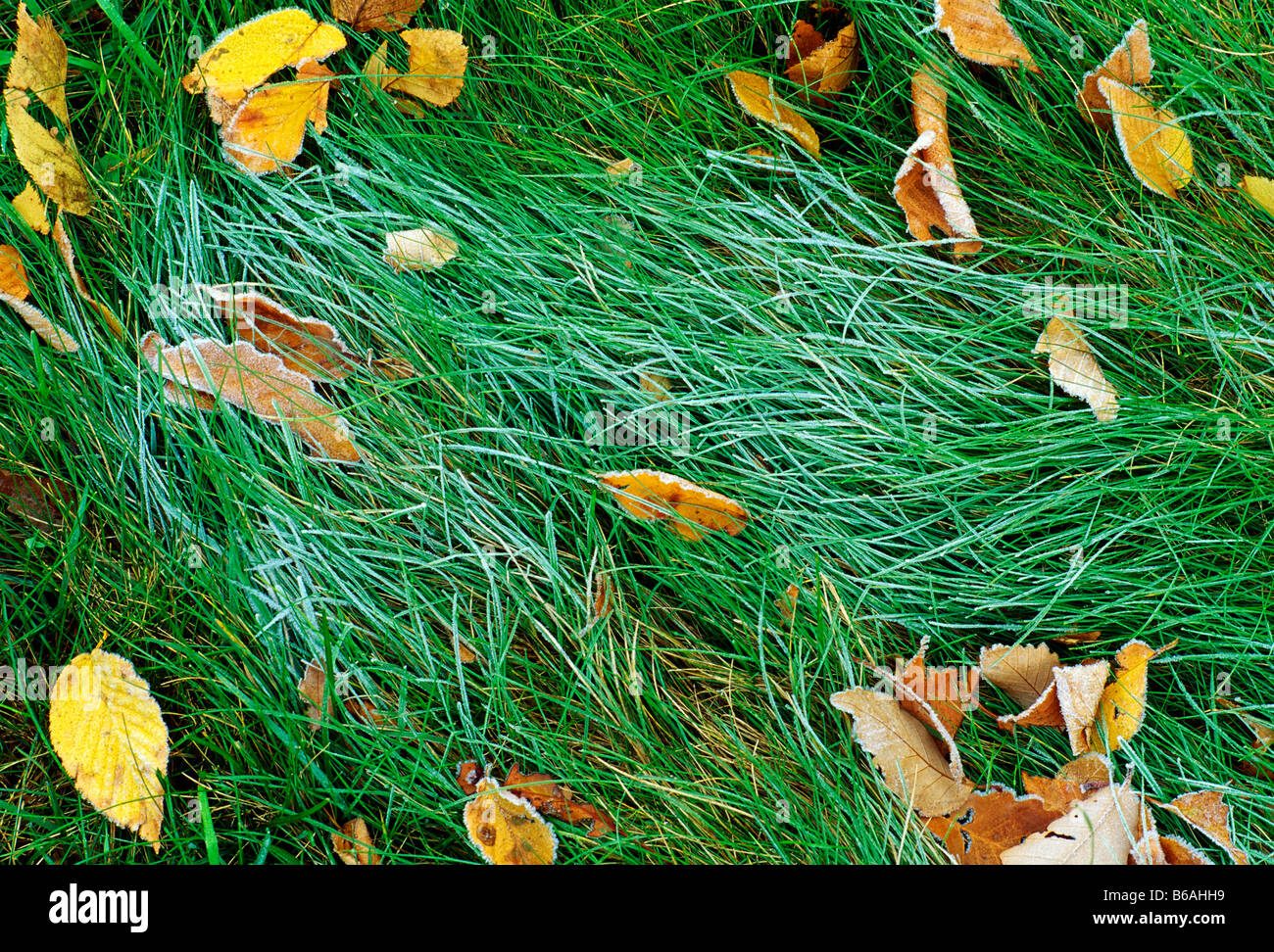 Allegheny national forest overlook hi-res stock photography and images ...