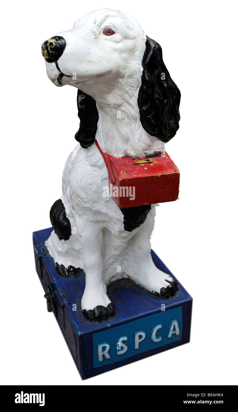 RSPCA Charity Collection Box Stock Photo - Alamy