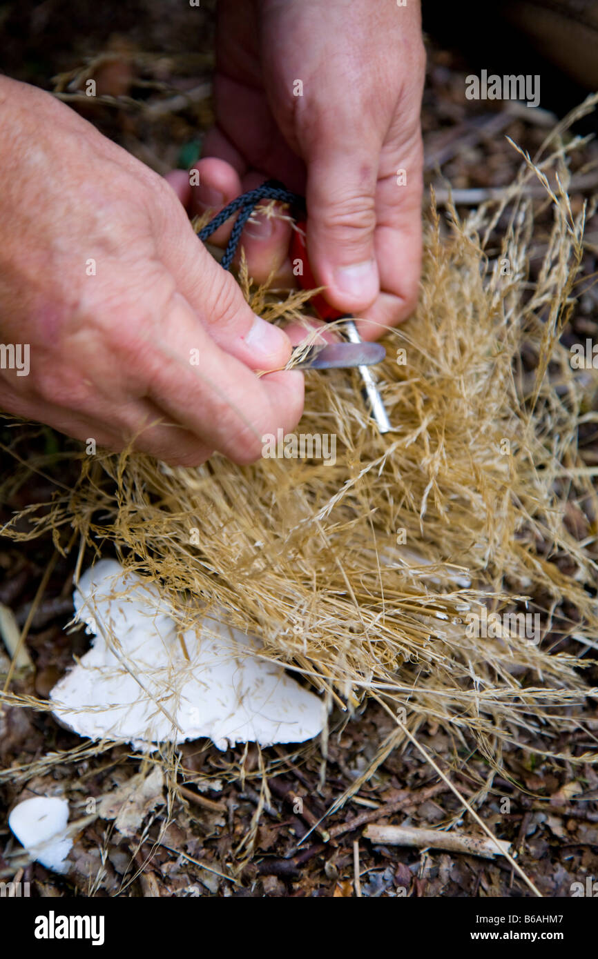 Lighting kindling with firesteel Stock Photo - Alamy