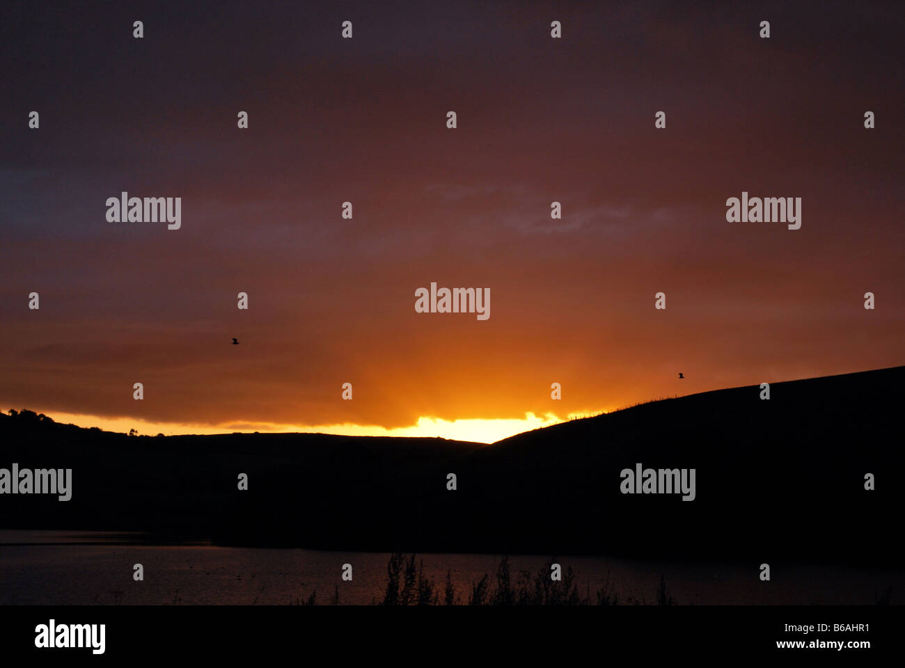 sun setting over lake at torcross, Devon, england, uk Stock Photo - Alamy