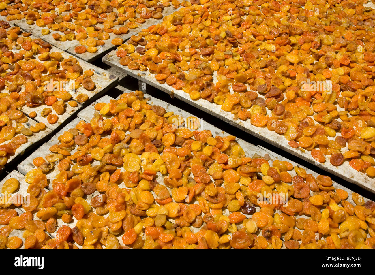 Apricots fruit drying hi-res stock photography and images - Alamy