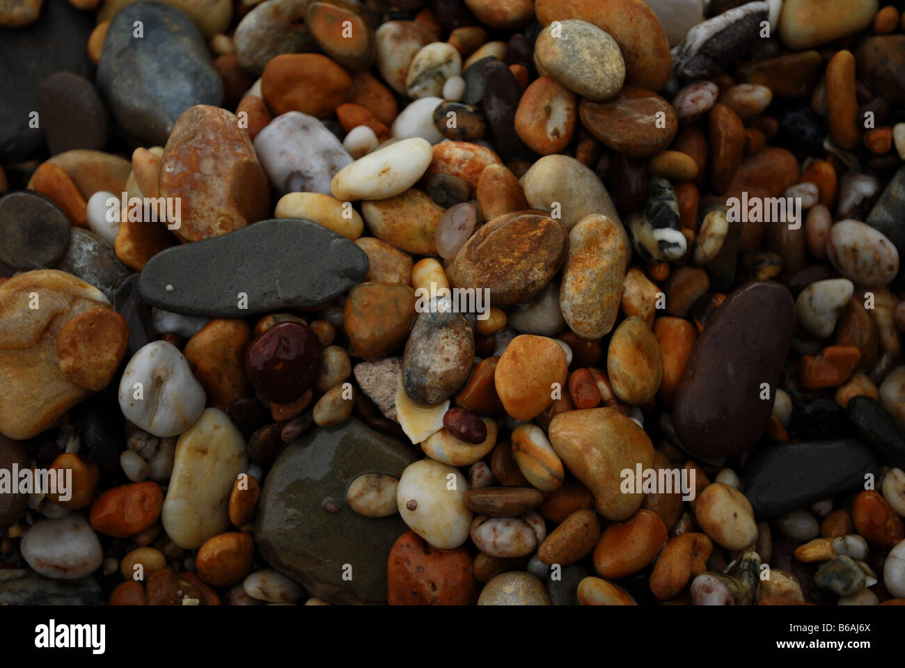 pebble beaches in Devon, England Stock Photo - Alamy