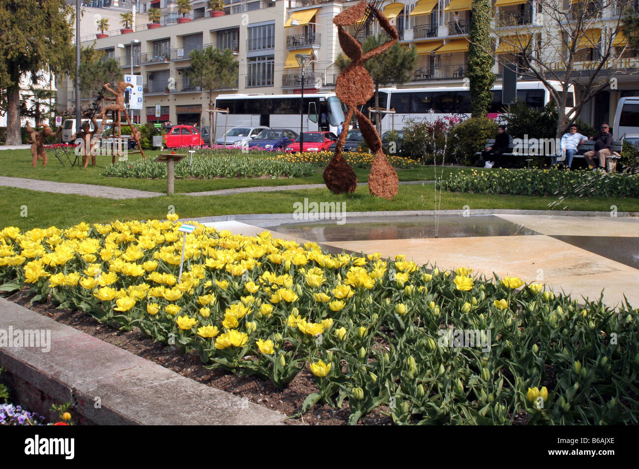 A flower bed of dwarf Tulips Stock Photo - Alamy