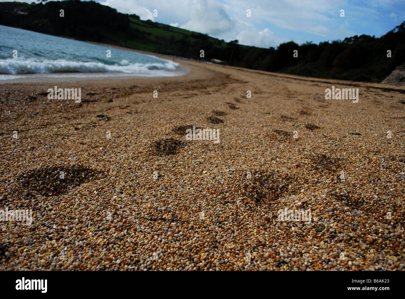pebble beaches in Devon, England Stock Photo - Alamy