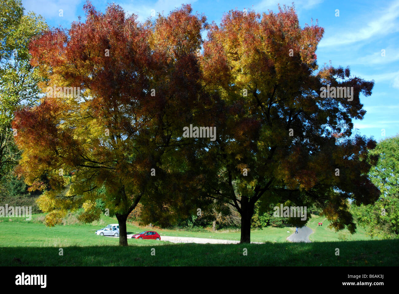 Full of colour hi-res stock photography and images - Alamy