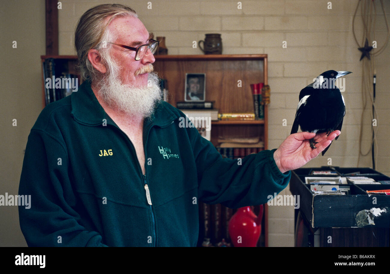 Man and pet magpie, Australia Stock Photo - Alamy