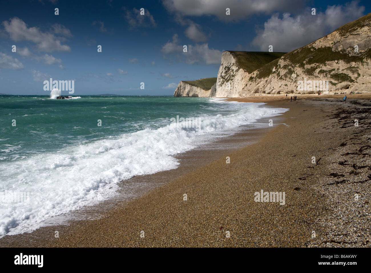 Seascape with a cow hi-res stock photography and images - Alamy