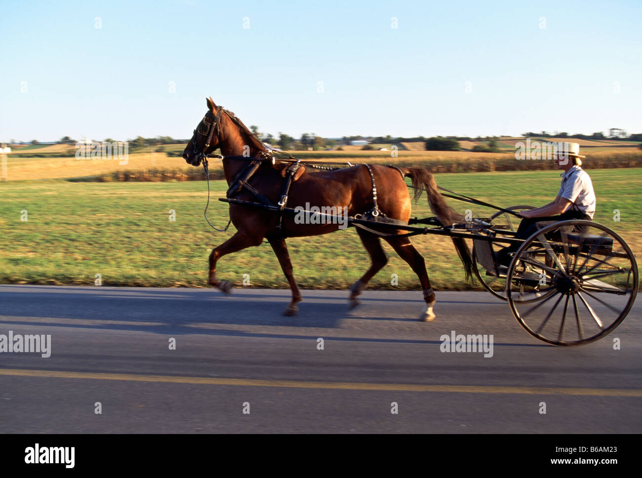 Amish horse drawn buggy on a rural road, Lancaster County, Pennsylvania ...